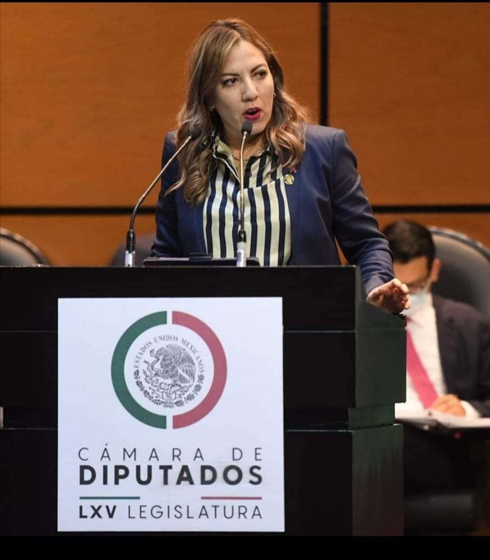 Lamentables las declaraciones de loera: diputada laura contreras | La ...