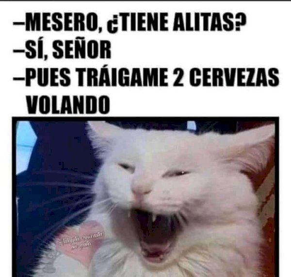 Tiene alitas | La Opción de Chihuahua